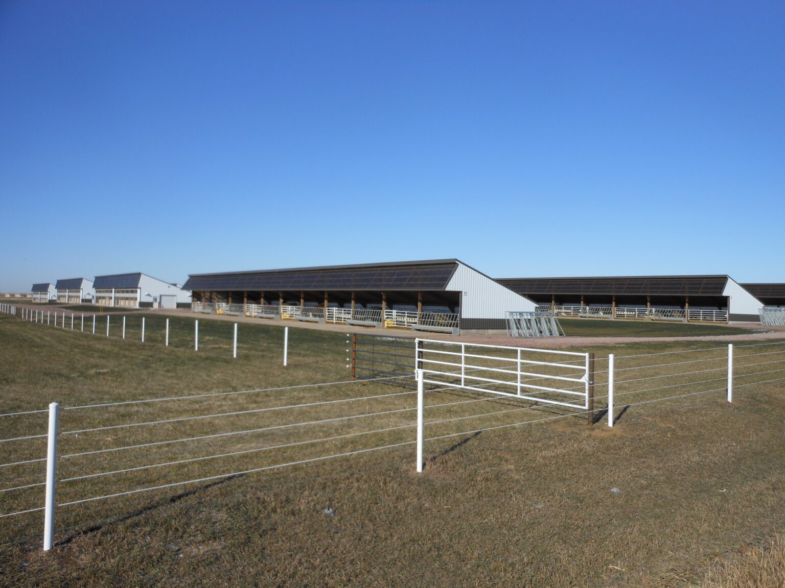 Livestock Buildings | Mead Lumber