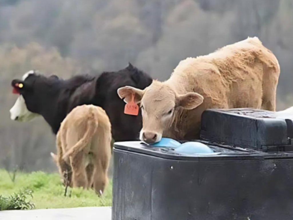 Water Systems | Mead Lumber